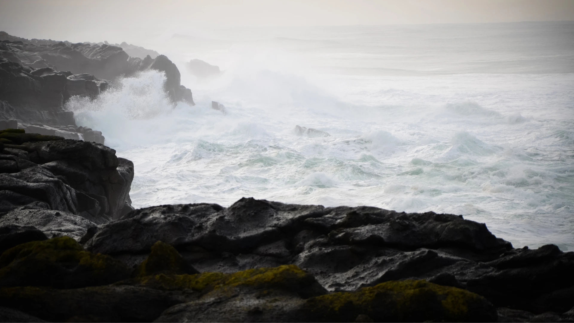 Building a Vertical SaaS Platform for Agriculture | Tidemark